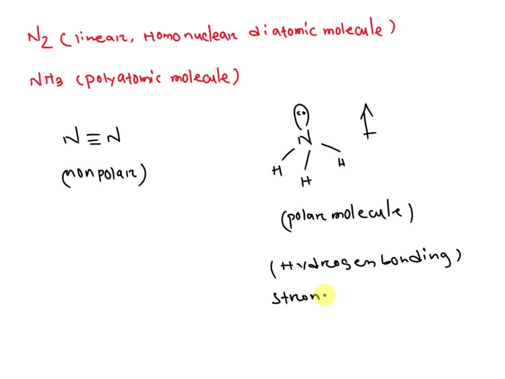 SOLVED: which statement best describes the intermolecular forces ...