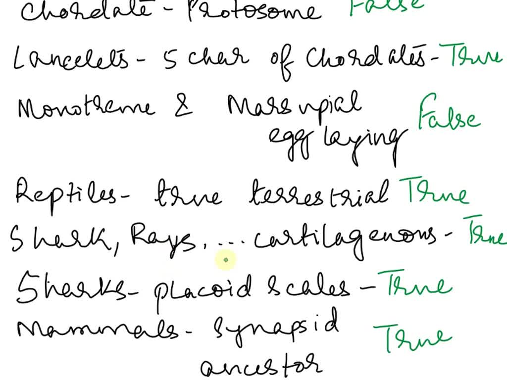 SOLVED: A. True or B. False Questions #11 - #24: 11. Humans are members ...