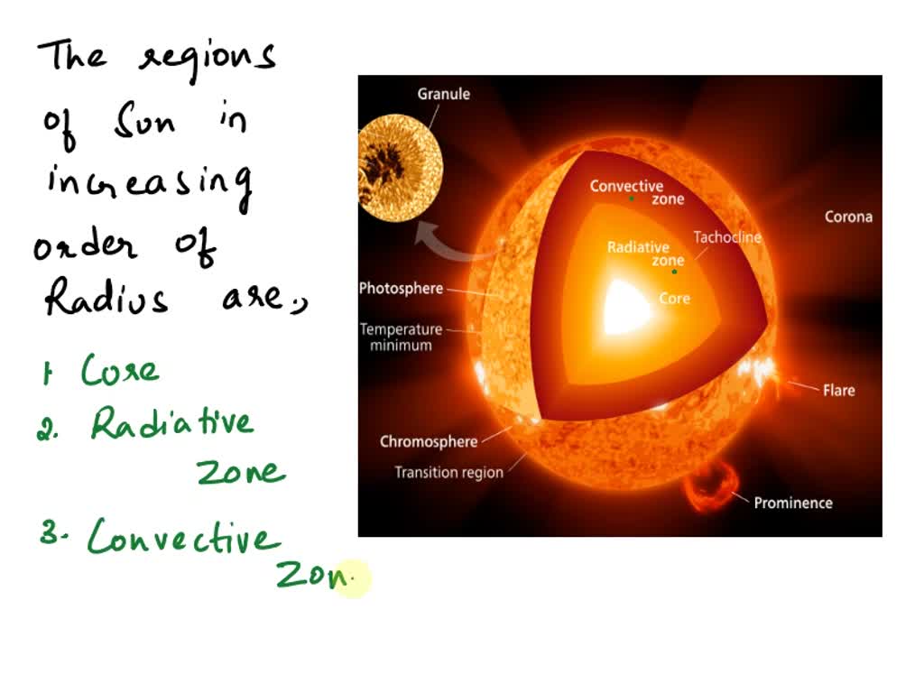 SOLVED: Place the following regions of the Sun in order of increasing ...