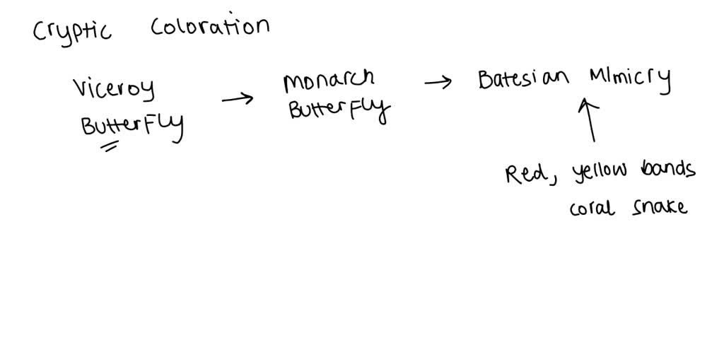SOLVED: Question 28 (1 point) Which of the following is an example of ...