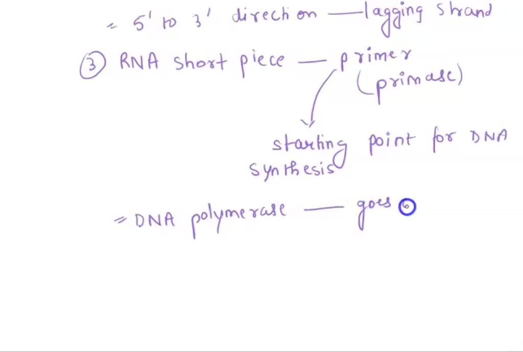 SOLVED: 1. Describe the process of DNA replication in order, you MUST ...