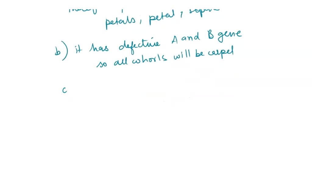 SOLVED: The ABC model of flower development explains how floral organs ...