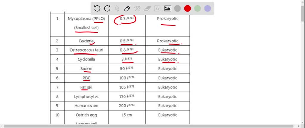 SOLVED: Cell Types: Prokaryotes vs. Eukaryotes Construct a table of ...