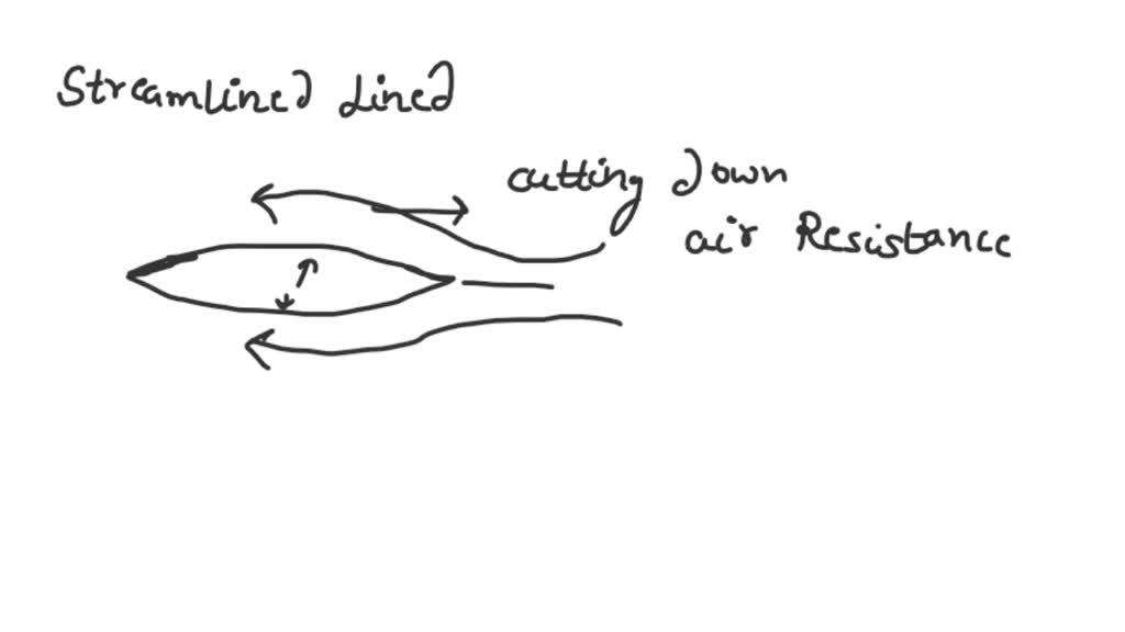 SOLVED: What is streamlined shape ? Instead of flying what birds can ...