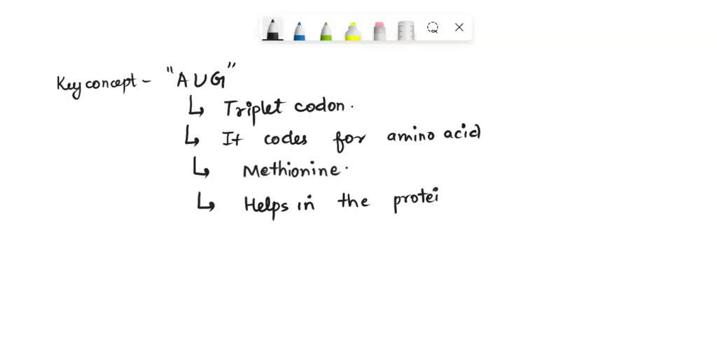 SOLVED: The following is the beginning mRNA sequence. 0) Underline the ...