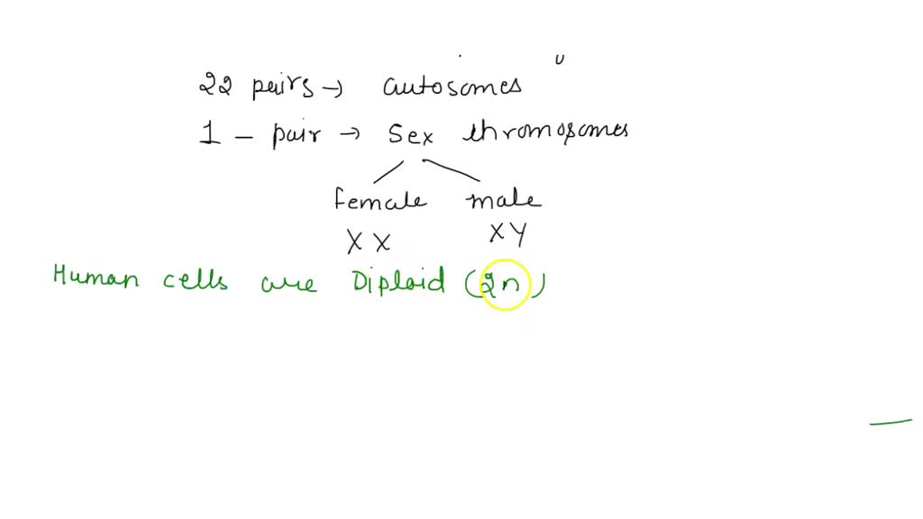 SOLVED: the normal diploid number of autosomes in a human cell is