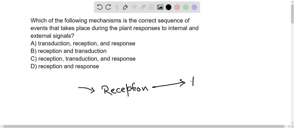SOLVED: 12. Which of the following options lists the sequence of events ...