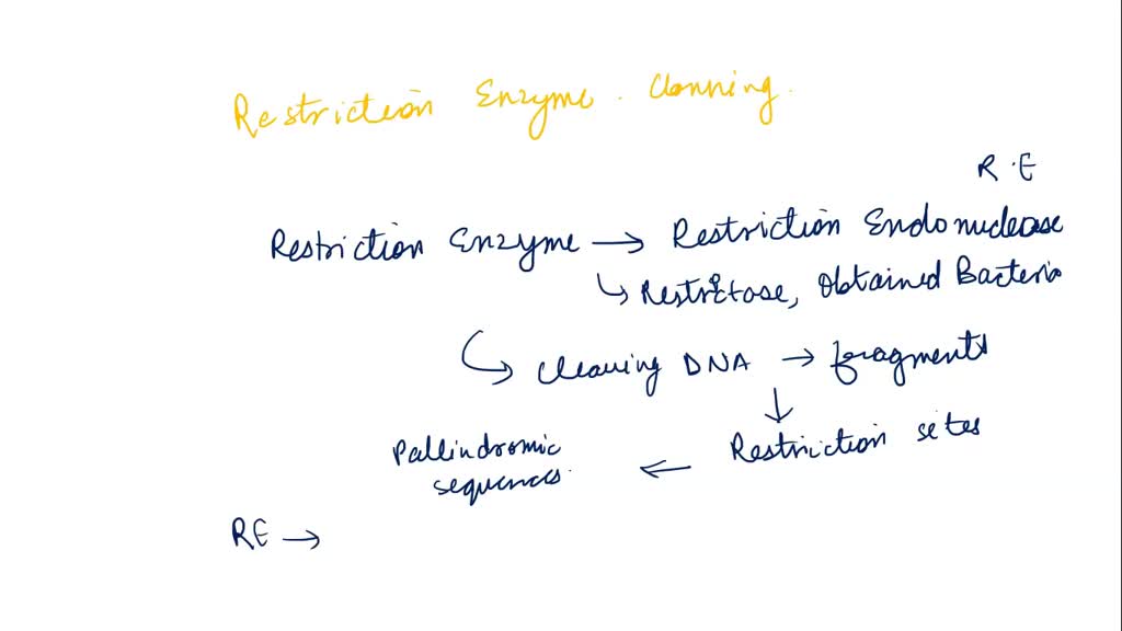 SOLVED: Concept map for Microbiology: Types of microorganisms( Bacteria ...