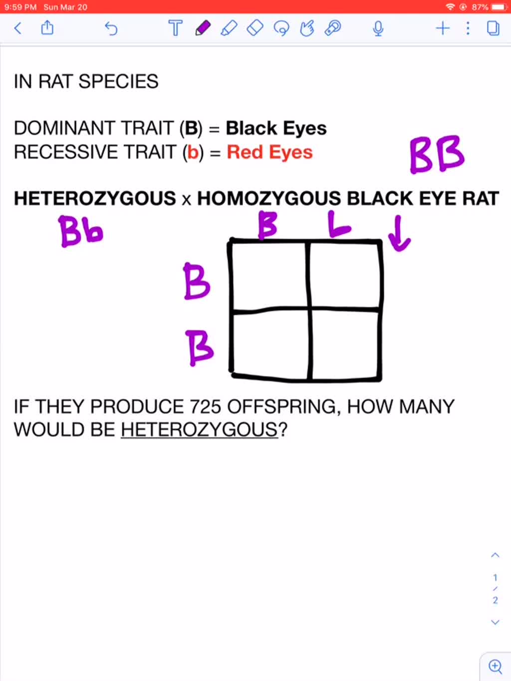 SOLVED: In a species of rats, the allele for black eyes (B) is dominant ...