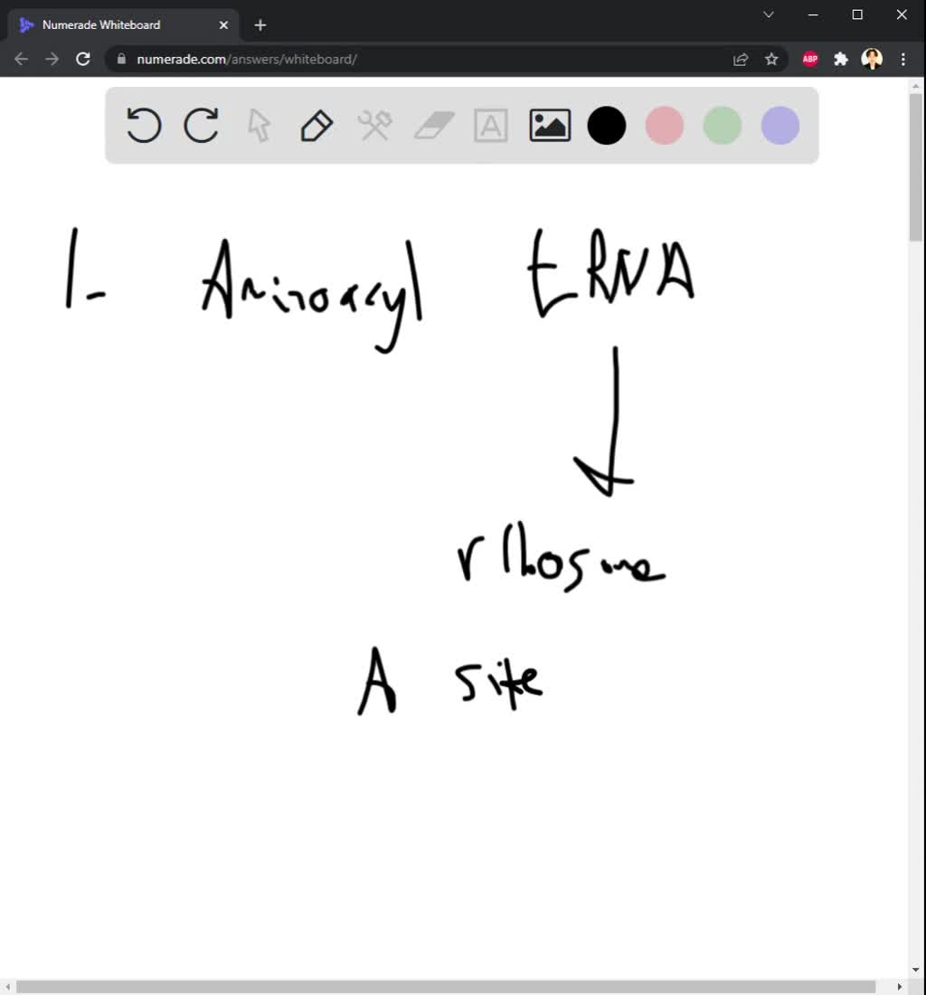 SOLVED: The sequence of the slippery site for the HIV translational frameshift from the gag ...