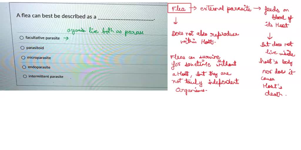 A parasite which specifically parasitizes another parasite species is ...