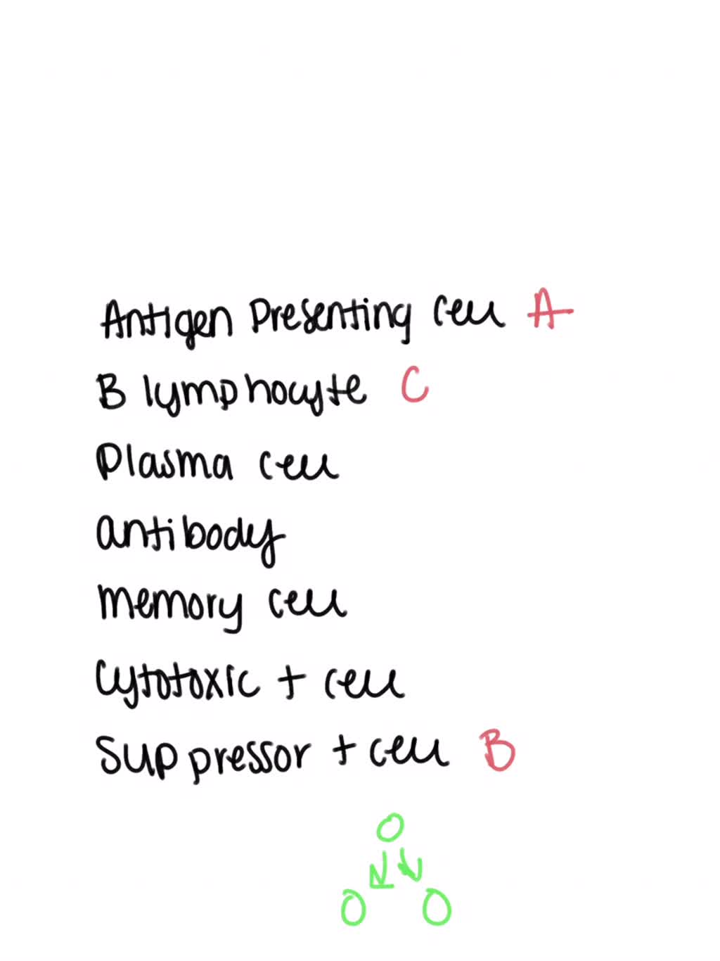 SOLVED: Antigen presenting cell engulfs and digests pathogens and then ...