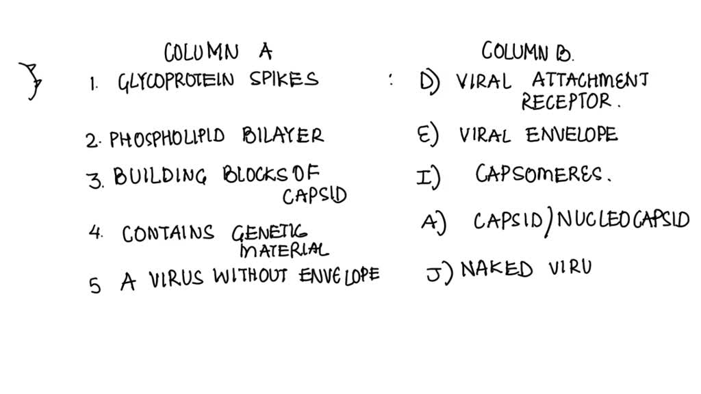 Solved Match Each Statement Below With The Type Of Virus Glycoproteinsspikes Complement The 