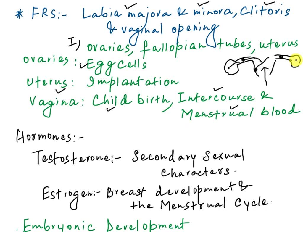 SOLVED: Write an illustrated report demonstrating the human ...