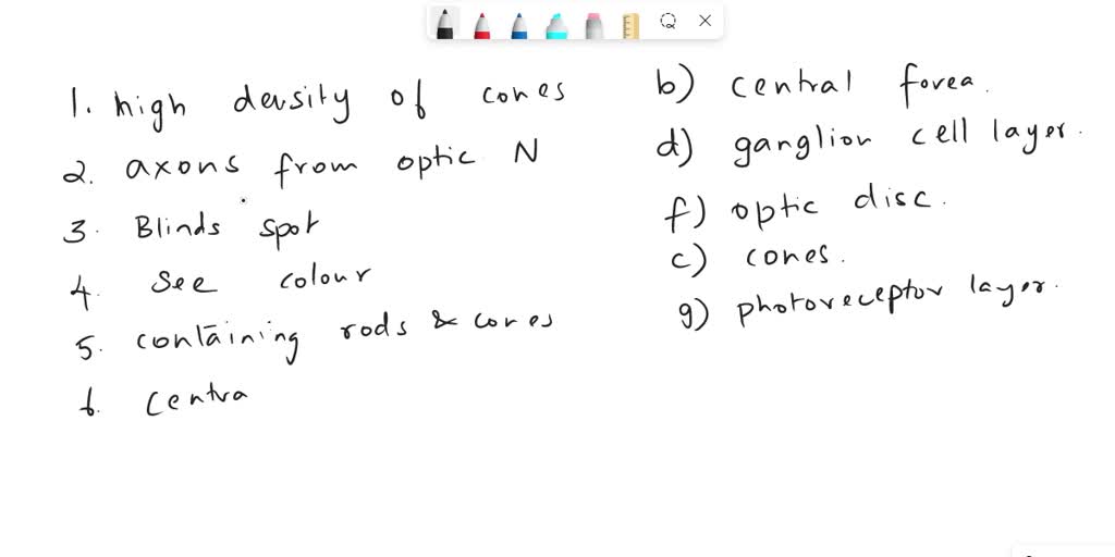 SOLVED: 370 Review Sheet 23-24 6. Correctly identify each lettered structure in the diagram by ...