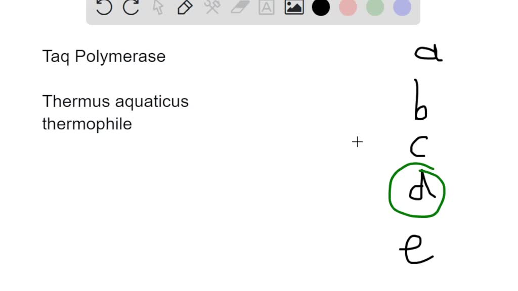 SOLVED: Why is Taq polymerase used as the DNA polymerase in the ...