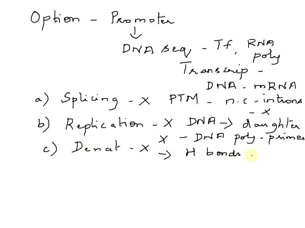 SOLVED: Which of the following processes involves initiation; elongation and termination phases ...