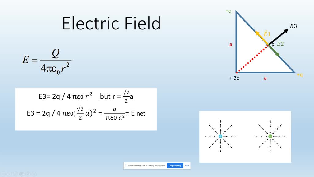 Solved Calculate The Direction And Magnitude Of The Electric Field At