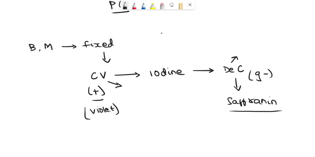 SOLVED What Can Affect The Shape Amount And Colour Of Your S C C solved-what-can-affect-the-shape-amount-and-colour-of-your-s-c-c