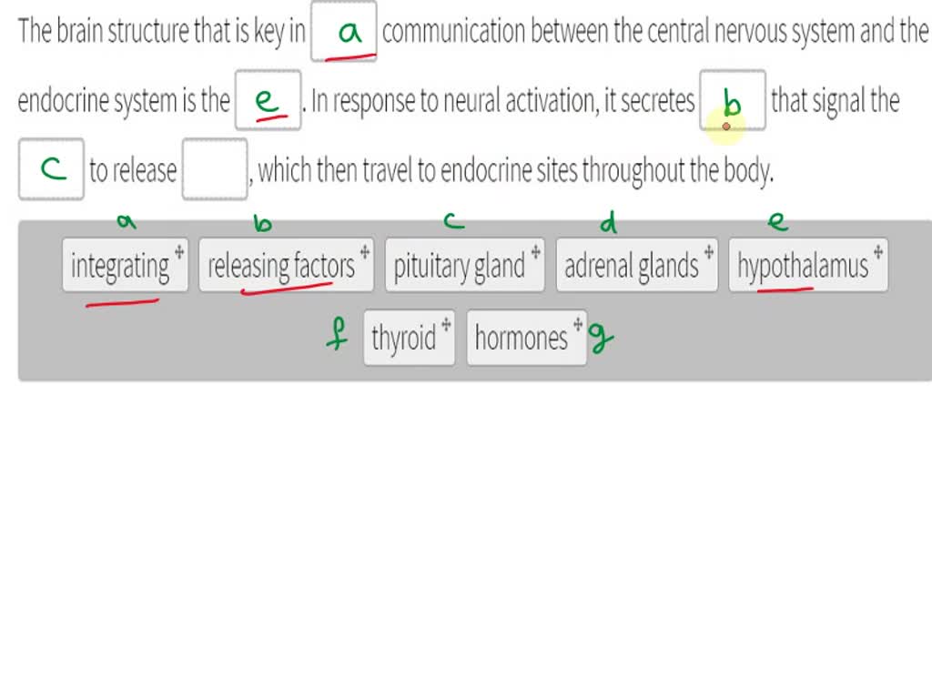 SOLVED: Fill in the blanks to complete the passage about how the endocrine system is controlled ...