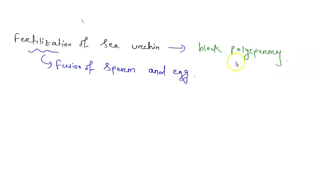 SOLVED: The cortical reaction of sea urchin eggs functions directly in ...
