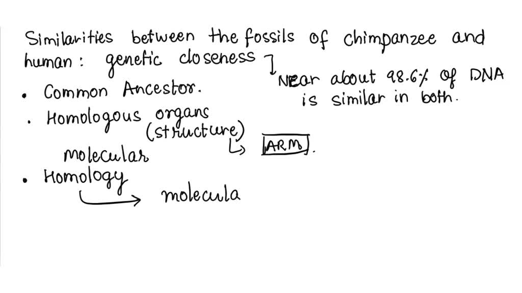 SOLVED: similarities of fossils of chimpanzees and humans are an ...