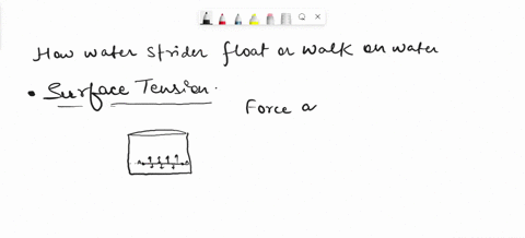 Explain how a water strider can float on the surface of...