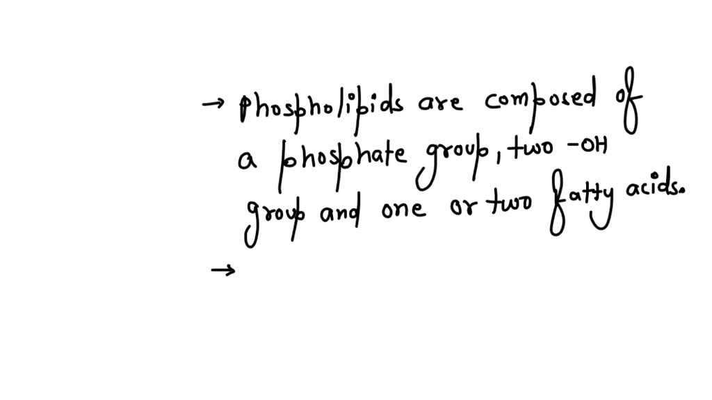 Using a clearly labelled diagram , explain the properties of ...