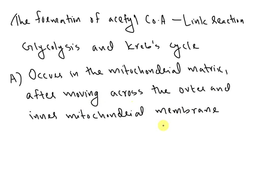SOLVED: The formation of acetyl CoA occurs in the mitochondrial matrix ...
