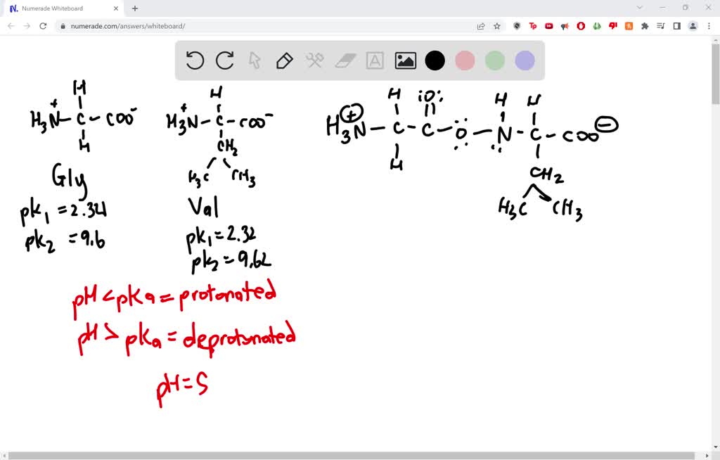 SOLVED: Given a dipeptide Gly-Val, Gly: pK1=2.34; pK2=9.60, Val: pK1=2. ...
