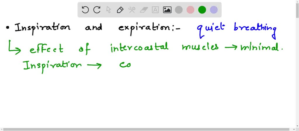 SOLVED: In quiet breathing, muscular effort is mainly in inspiration ...