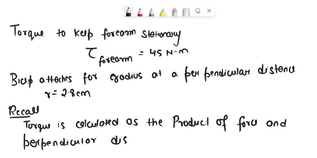 Solved The Amount Of Torque That Must Be Generated By The Biceps Brachii At The Elbow To Keep