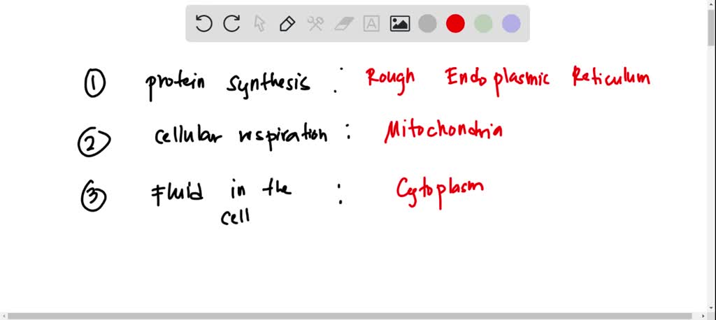 SOLVED: this organelle is made of protein and RNA in the cytoplasm 2 ...