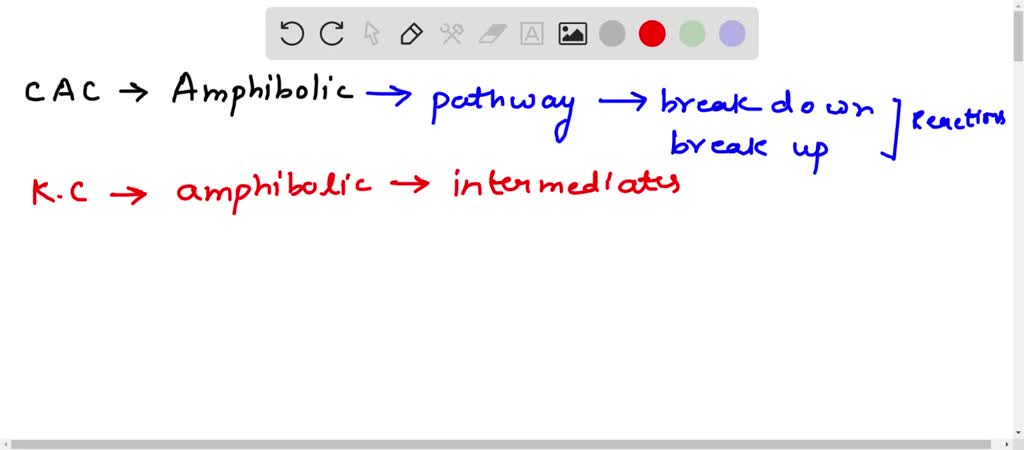 SOLVED: Q.16 The citric acid cycle is amphibolic. What does this mean ...