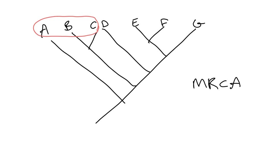 SOLVED: Question 3 2 pts In the tree shown below, which of the ...