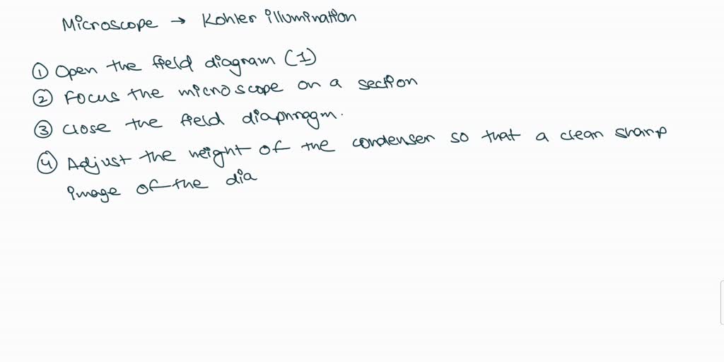SOLVED: Put into correct order the steps for setting up a microscope ...