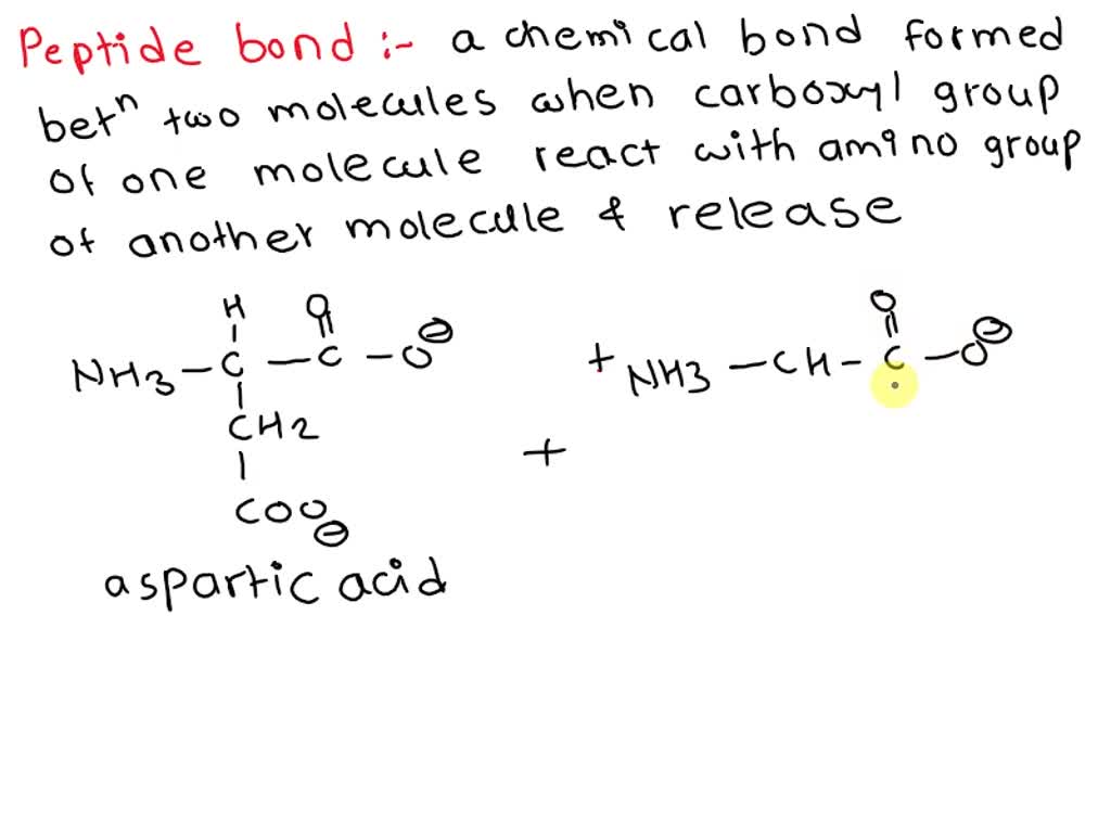 Aspartylserine (Asp-Ser) is a dipeptide formed from the amino acids ...