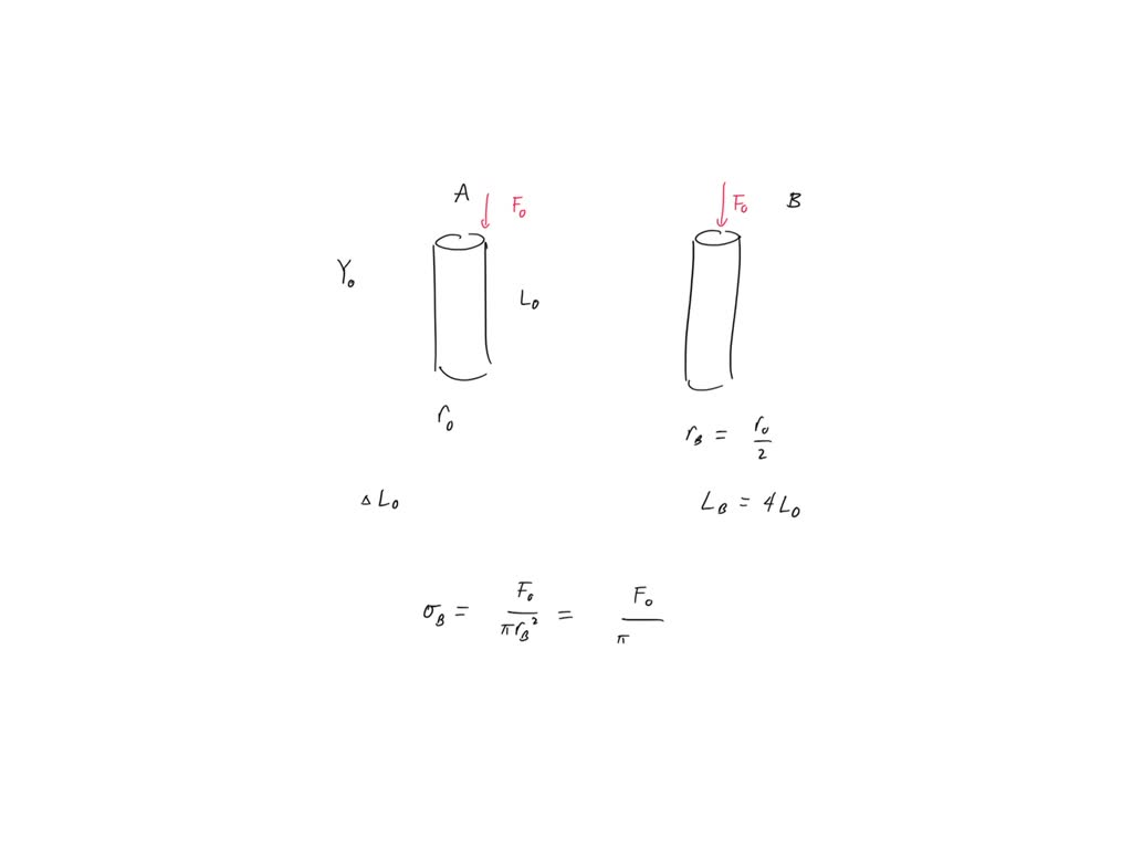 SOLVED: You have two cylindrical samples of bone, A and B. Bone A has a ...