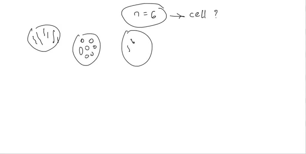 SOLVED: Which student models show an n= 6 cell? Select all that apply: