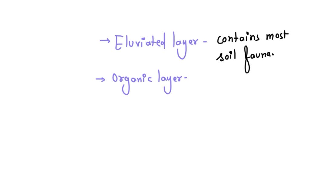 Drag and drop the component or description of a soil layer to the box ...