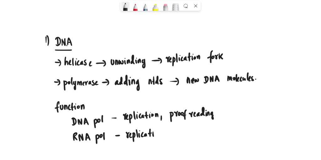 SOLVED: 1) Describe the genetic roles of DNA helicase and DNA polymerase. Contrast the function ...