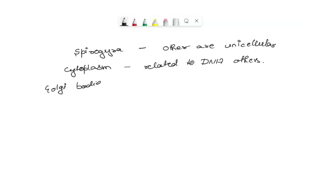 SOLVED: TICK (V) THE ODD-ONE OUT GIVING REASON1. Amoeba, Spirogyra ...