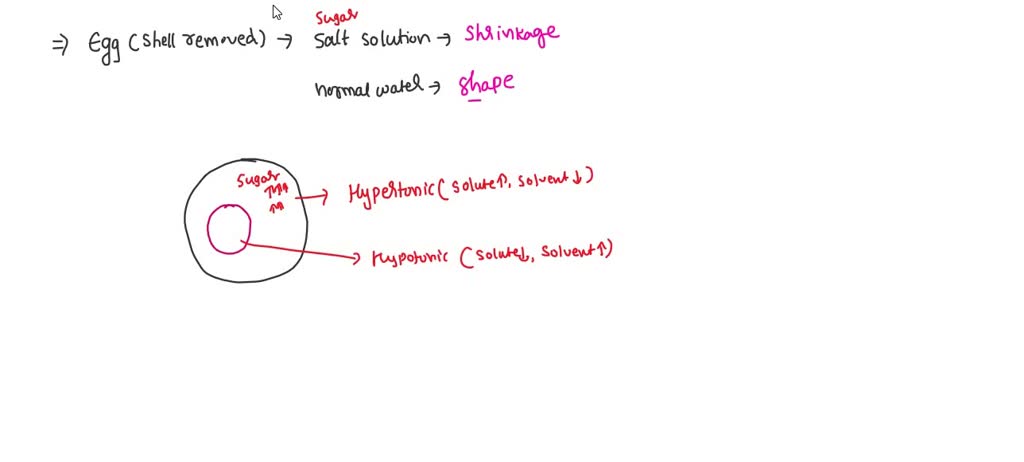 SOLVED: When a raw, shell-less egg was placed in sugar solution, the ...