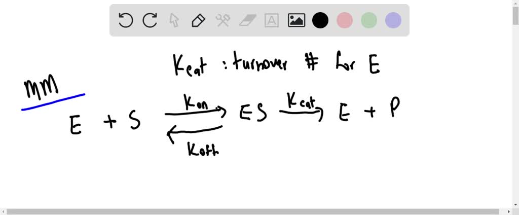 SOLVED: kcat, the turnover number of an enzyme, is? A. the number of ...