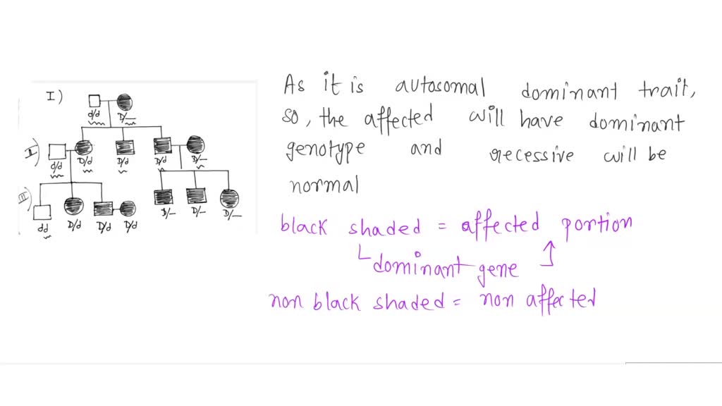 SOLVED: Question 20 pts The pedigree below tracks the presence of ...