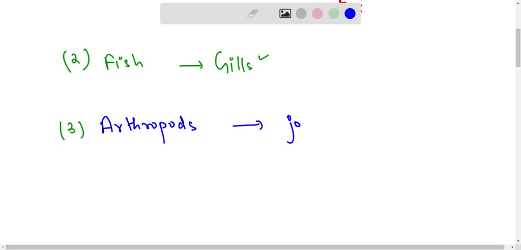 SOLVED: Why do fish have a streamlined body? Name their respiratory ...