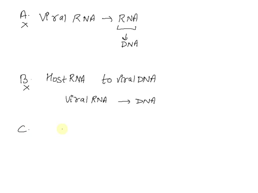 SOLVED: (Ch 19) What is the function of reverse transcriptase in ...