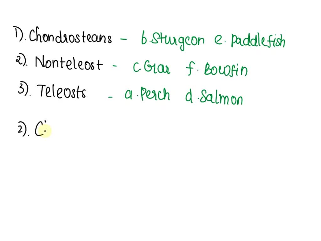 SOLVED: Match the ray-finned fishes in the right column with the group ...