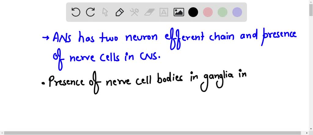 SOLVED: '1 All of the following characterize the ANS except: a two ...