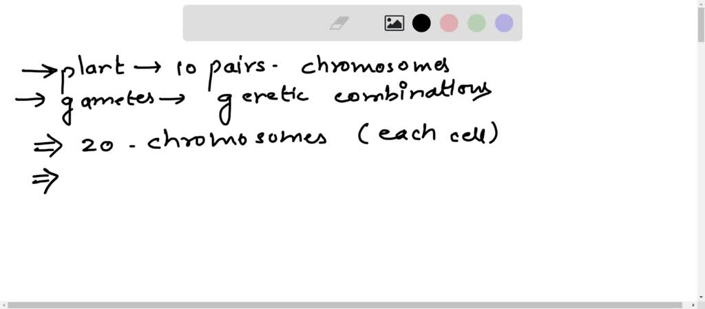 SOLVED: A particular plant has 10 pairs of chromosomes in each cell ...